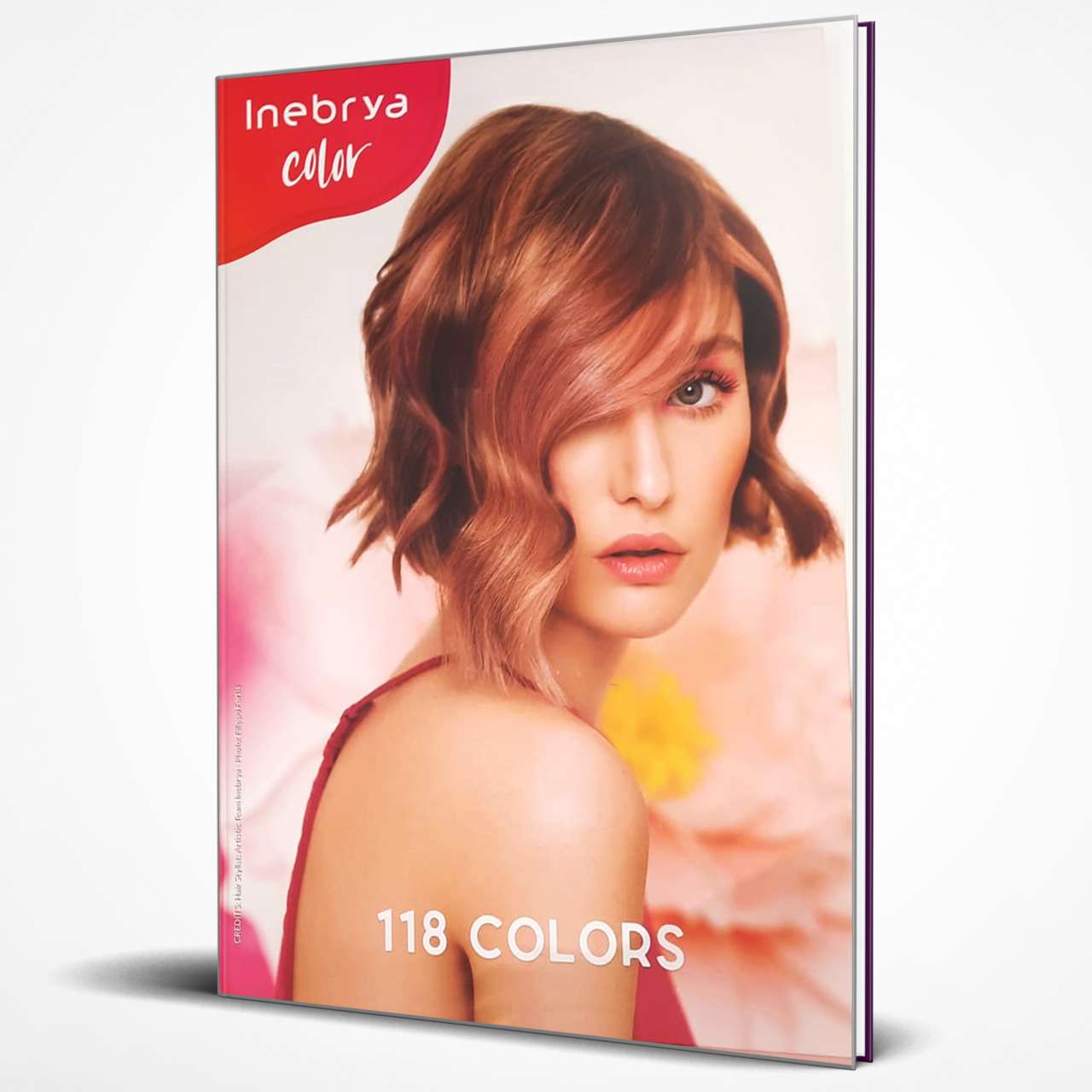 Inebrya Color Cartella Colori Tintura